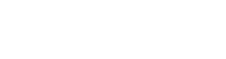 טיפים מקצועיים לשמירה על בריאות הכלב במהלך טיפול בפרעושים וקרציות - דוגווקר